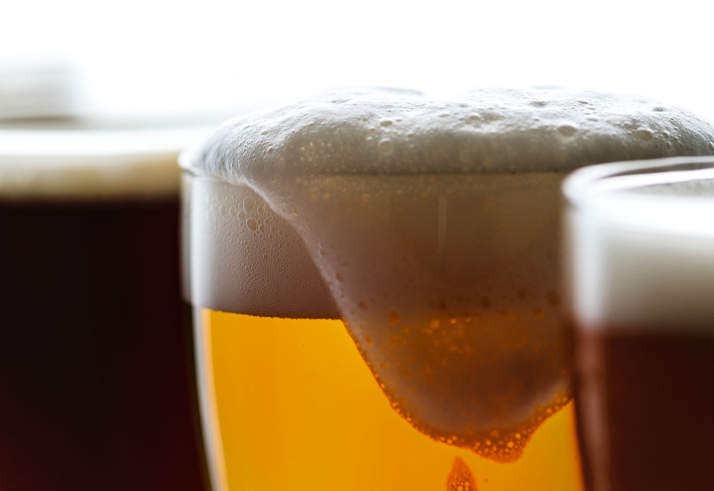 Ontdek hier meer over de verschillende biermerken - Bierdorp